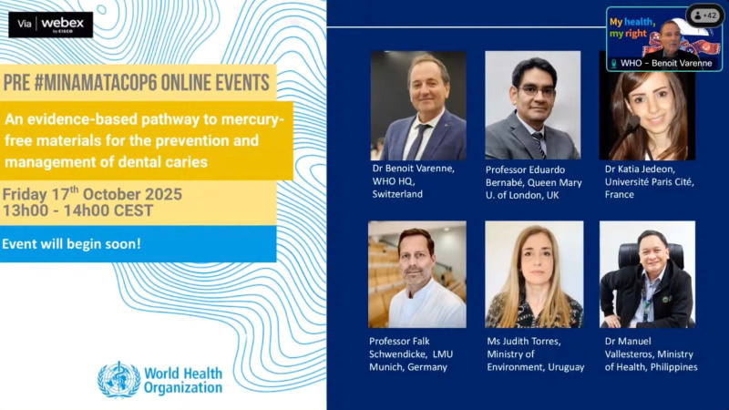 Sixth meeting of the Conference of the Parties to the Minamata ...