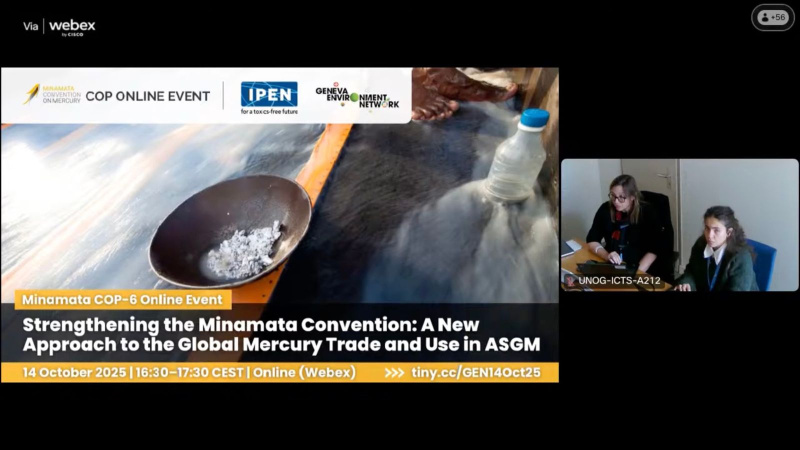 Sixth meeting of the Conference of the Parties to the Minamata ...