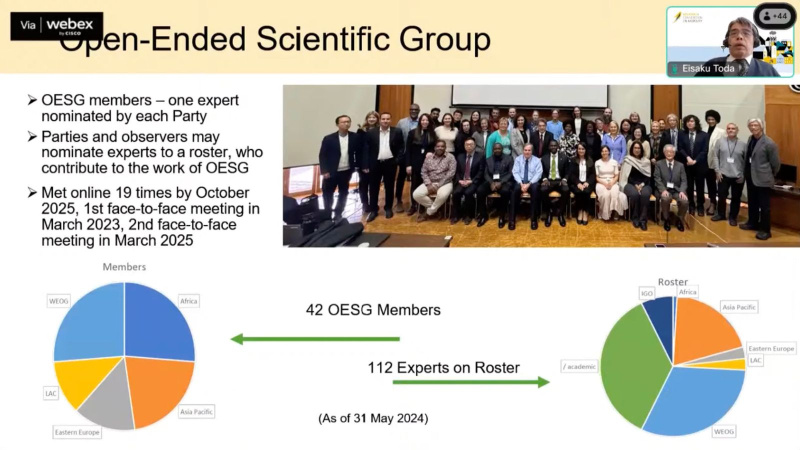 Sixth meeting of the Conference of the Parties to the Minamata ...